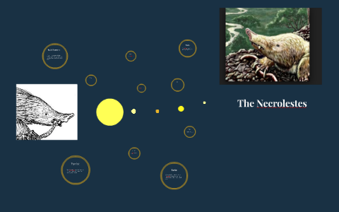 The Necrolestes is an extinct type of Marsupial. by Dominic Curti on Prezi
