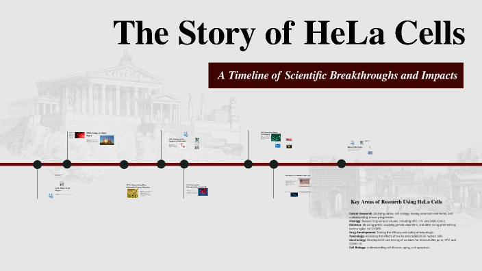 The Story of HeLa Cells by Nithila Jalandran on Prezi