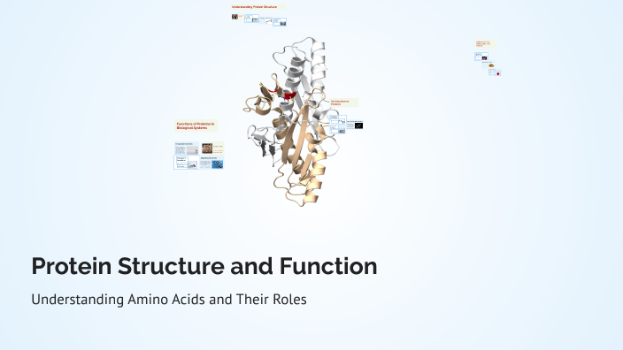 Protein Structure and Function by Harsh Verma on Prezi