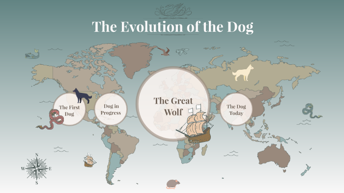The Evolution of a Dog by Anyang Yu on Prezi