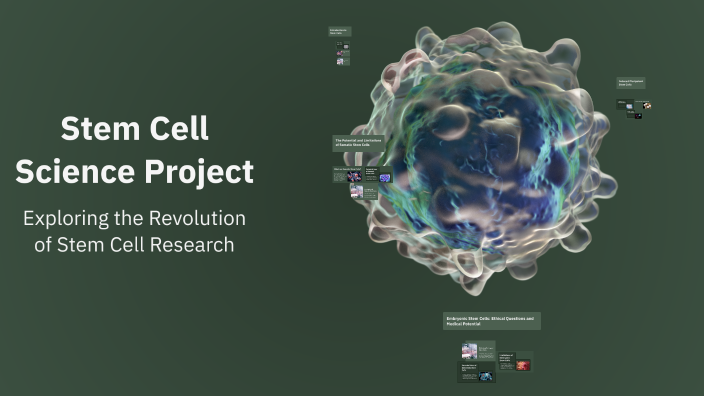 Stem Cell Science Project by saint lun on Prezi