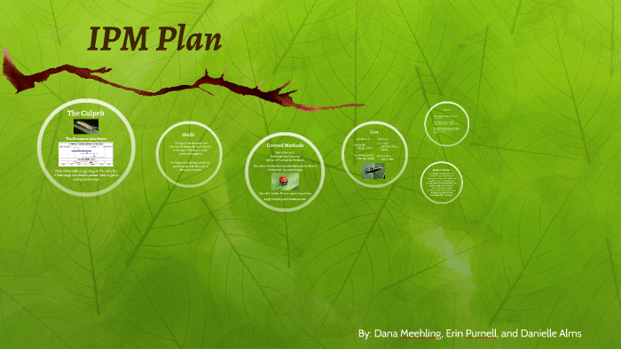 IPM Plan by Danielle Mae on Prezi