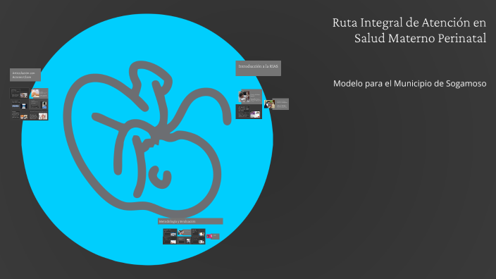 Ruta Integral de Atención en Salud Materno Perinatal by Jean Paul Cruz Lemus on Prezi