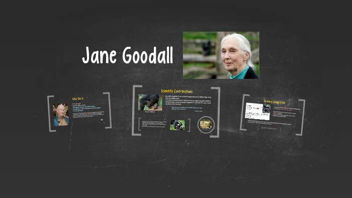 Jane Goodall - presentation by Run Liu on Prezi