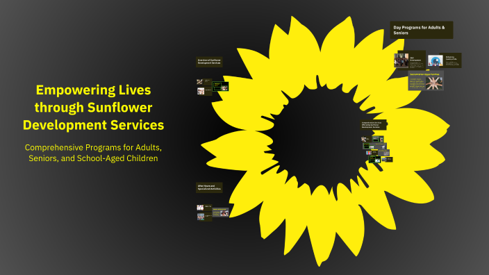 Empowering Lives through Sunflower Development Services by Puneet ...