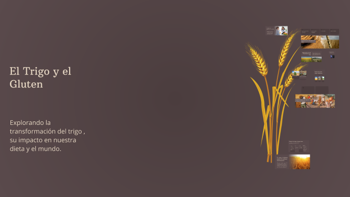 El Trigo y el Gluten: Historia y Evolución by Selene Sarmiento on Prezi