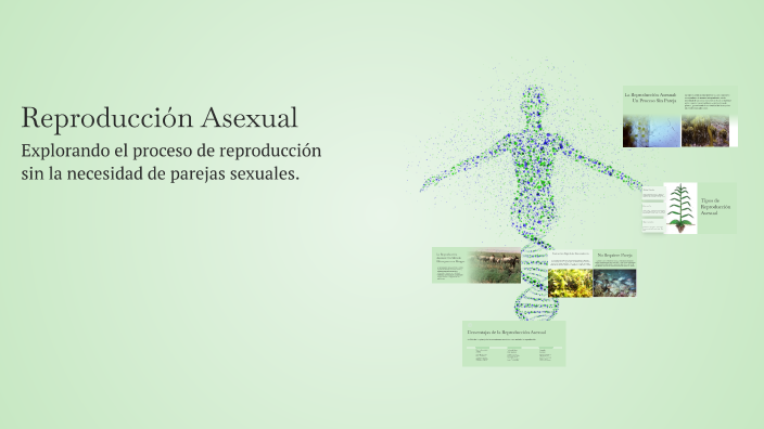 Reproducción Asexual by Camilo Arcila on Prezi