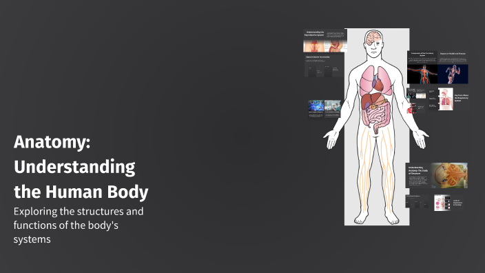 Anatomy: Understanding the Human Body by on Prezi