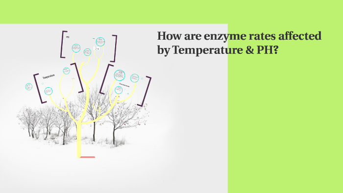 How temperature and ph affects enzyme rate by Shanz Bossman on Prezi