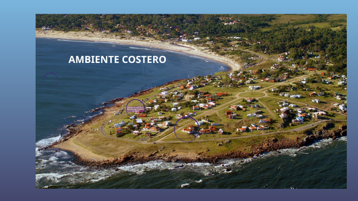 Ambiente costero by Claudia Correa on Prezi