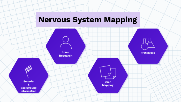 Nervous system Mapping by aubrey yeager on Prezi