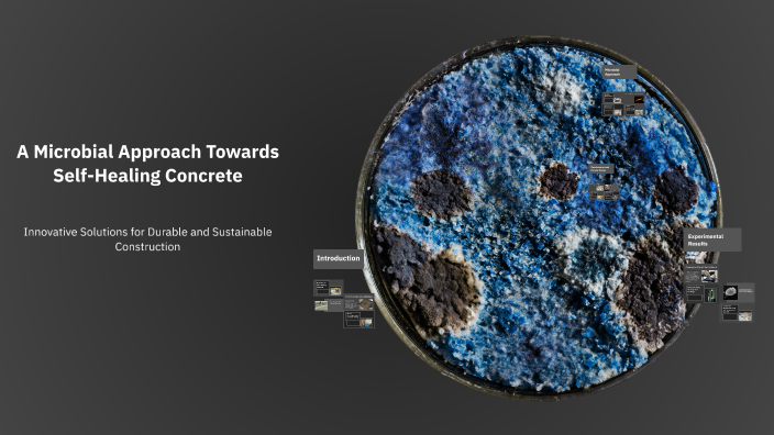 MICROBIAL Approach Towards Self-Healing Concrete by shaikh mohd faisal ...