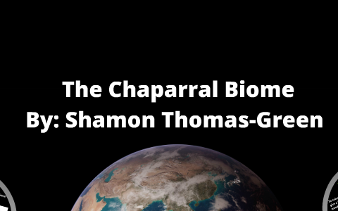 The Chaparral Biomes by Shamon Thomas on Prezi