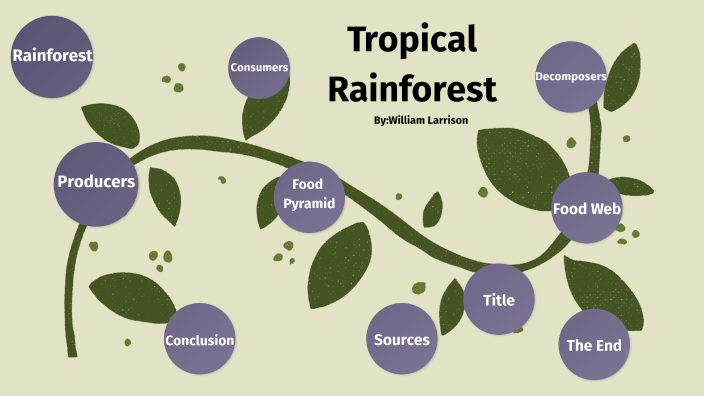 Tropical Rainforest by William Larrison on Prezi