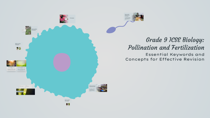 Grade 9 ICSE Biology: Pollination and Fertilization by ĤM on Prezi