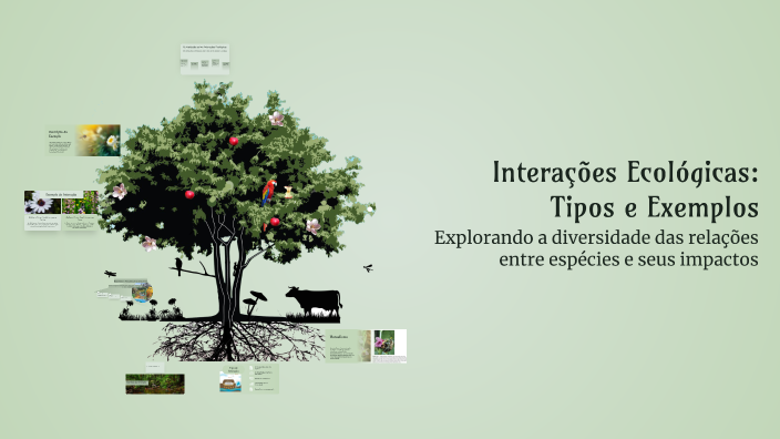 Interações Ecológicas: Tipos e Exemplos by Aluno - Diogo Pinheiro ...
