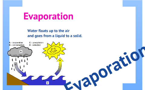 water cycle by Abigail Littrell