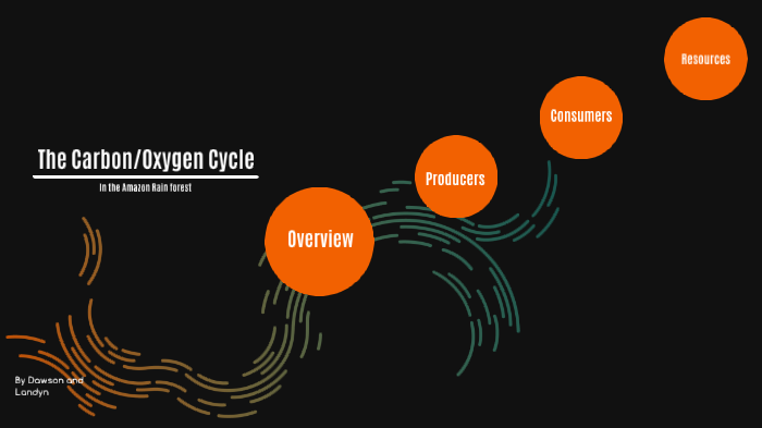 Amazon Rainforest Carbon/Oxygen Cycle by Dawson Stebbins-Mardin on Prezi