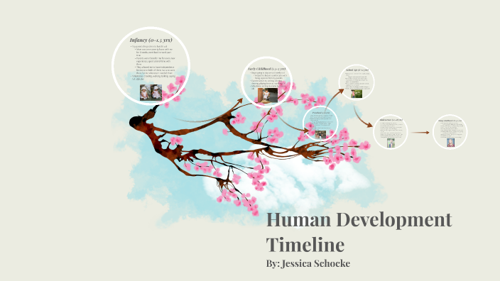 Human Development Timeline by Jessica Schocke on Prezi