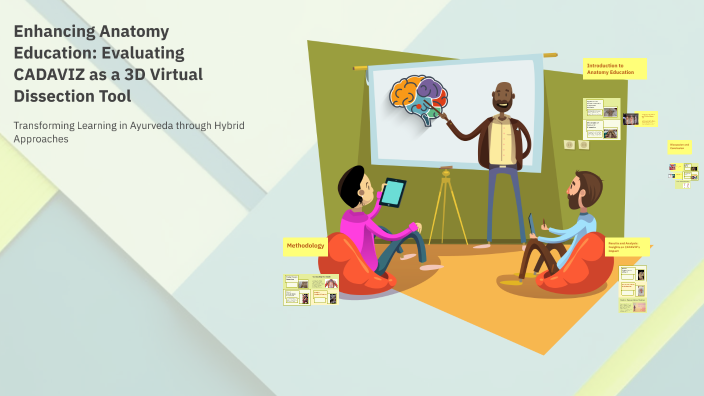 Enhancing Anatomy Education: Evaluating CADAVIZ as a 3D Virtual ...