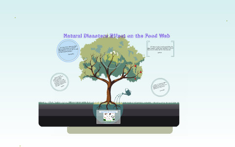 Natural Disasters effect on the food web by Crystal Cuevas on Prezi