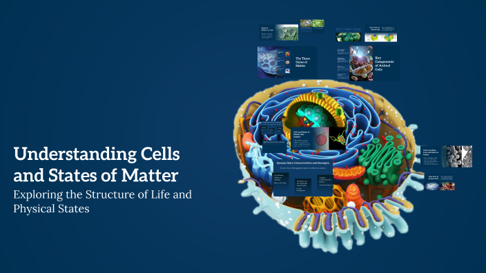 Understanding Cells and States of Matter by marwa sohail on Prezi