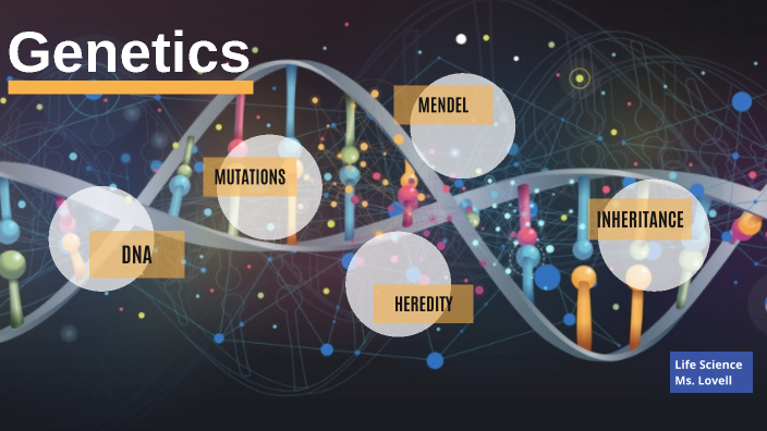Genetics by on Prezi