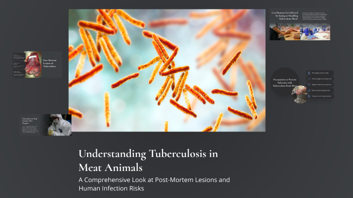 Understanding Tuberculosis in Meat Animals by ahmed wahba on Prezi