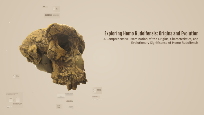 Exploring Homo Rudolfensis: Origins and Evolution by Max Praet on Prezi