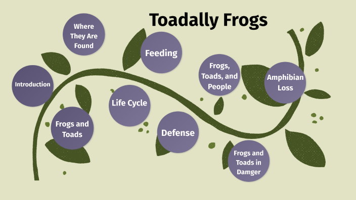 Toadally Frogs by Moody Gardens Education Department on Prezi