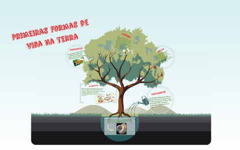 Primeiras formas de vida na terra by Natália Aguilheira on Prezi