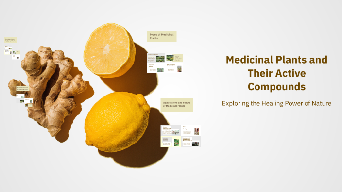 Medicinal Plants and Their Active Compounds by Haval Hussien on Prezi