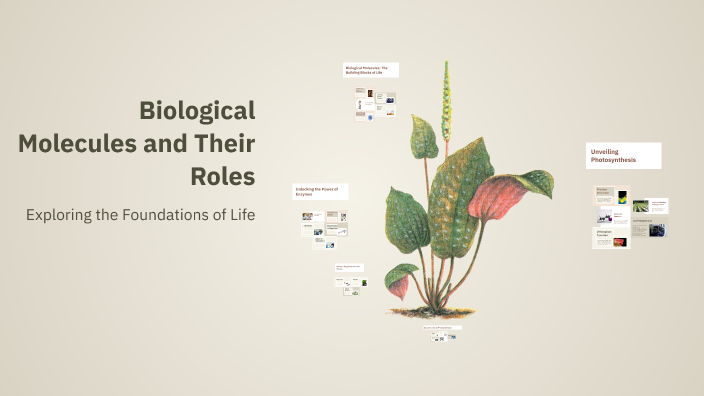 Biological Molecules and Their Roles by rehaamm Alziberr on Prezi