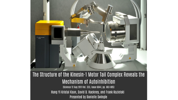 The Structure of the kinesin-1 motor tail complex reveals th by ...