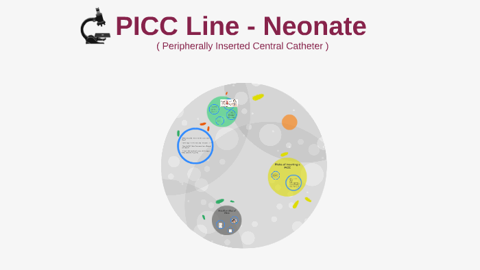 PICC Line - Neonate by hala rahhal on Prezi