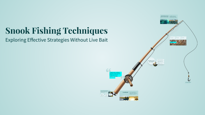 Snook Fishing Techniques by Cody Perez on Prezi