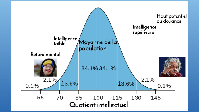 Troubles neuro développementaux by Martine Lussier