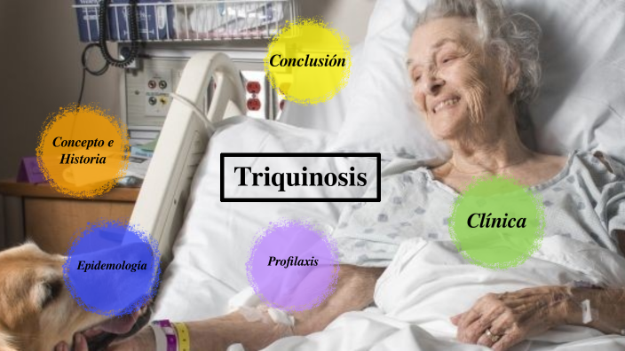 Triquinosis by Enfermería Vitoria on Prezi