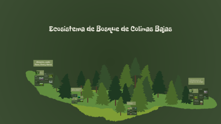 Ecosistema de Bosque de Colinas Bajas by Ariana Diaz on Prezi