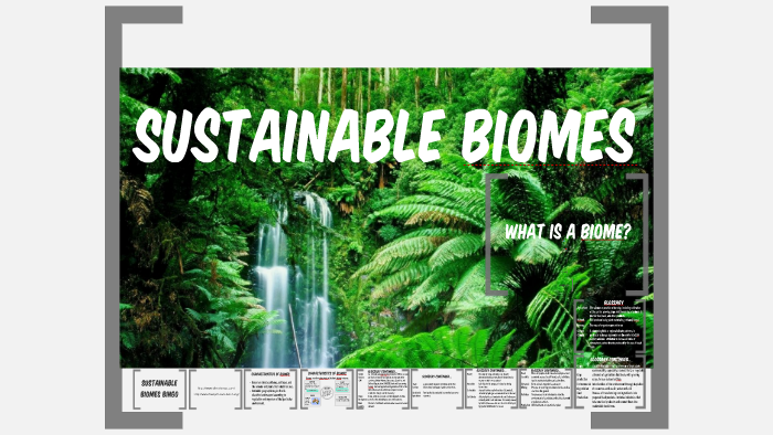 Sustainable Biomes by Stephanie Schenk on Prezi Sustainable Biomes by Stephanie Schenk on Prezi