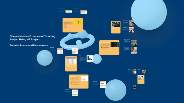 Comprehensive Overview of Twinning Project Using MS Project by mohammad ...