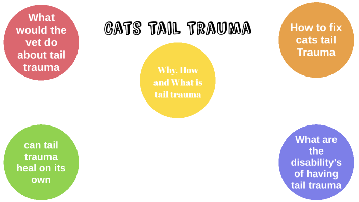 Student Inquiry - Cats Tail Trauma by ethan cutkosky on Prezi