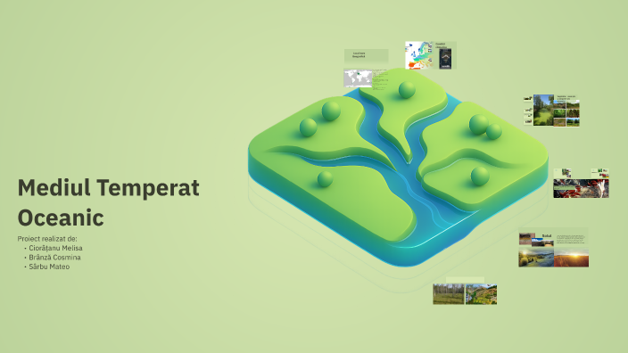 Mediul Temperat Oceanic by Andrei Mateo Sârbu on Prezi