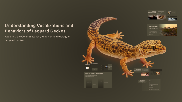 Understanding Vocalizations and Behaviors of Leopard Geckos by Leah ...