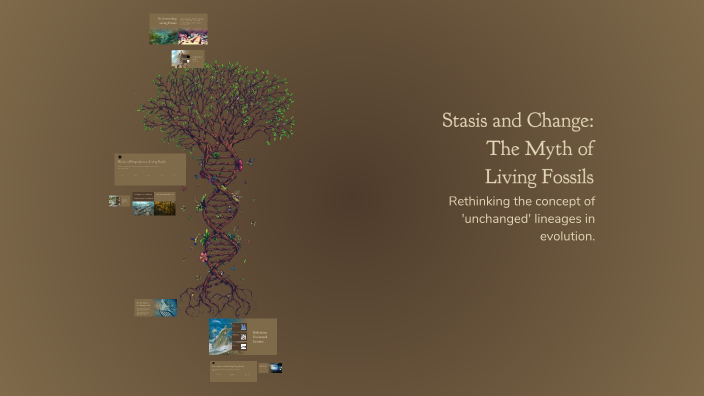 Stasis and Change: The Myth of Living Fossils by Sierrah Paolino on Prezi
