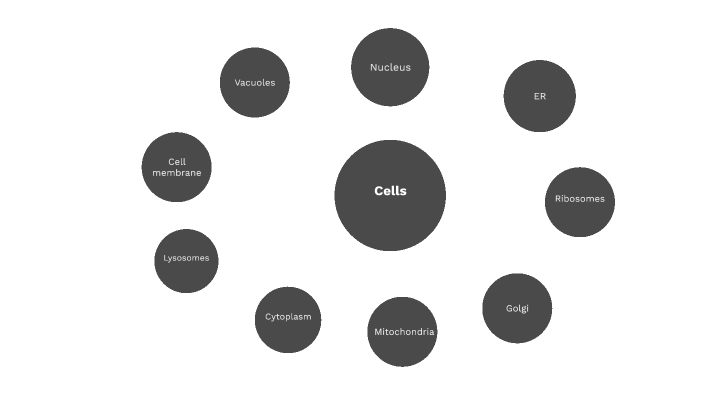 Map of the Human Body by Arline Hernandez by Arline Hernandez on Prezi