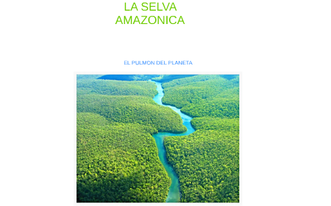 LA SELVA AMAZONICA by on Prezi