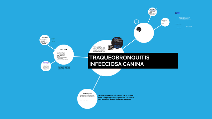 TRAQUEOBRONQUITIS by Pablo Carmen on Prezi