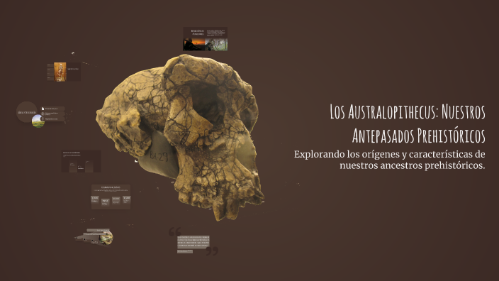 Los Australopithecus: Nuestros Antepasados Prehistóricos by moises ...