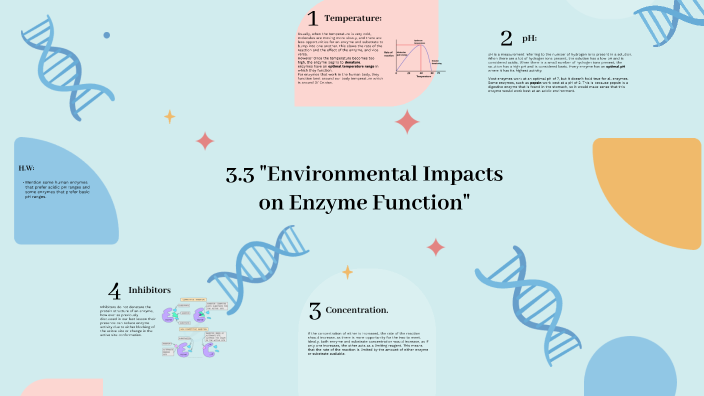 AP_BIO 3.3 "Environmental Impacts on Enzyme Function" by Yonis Maher on ...
